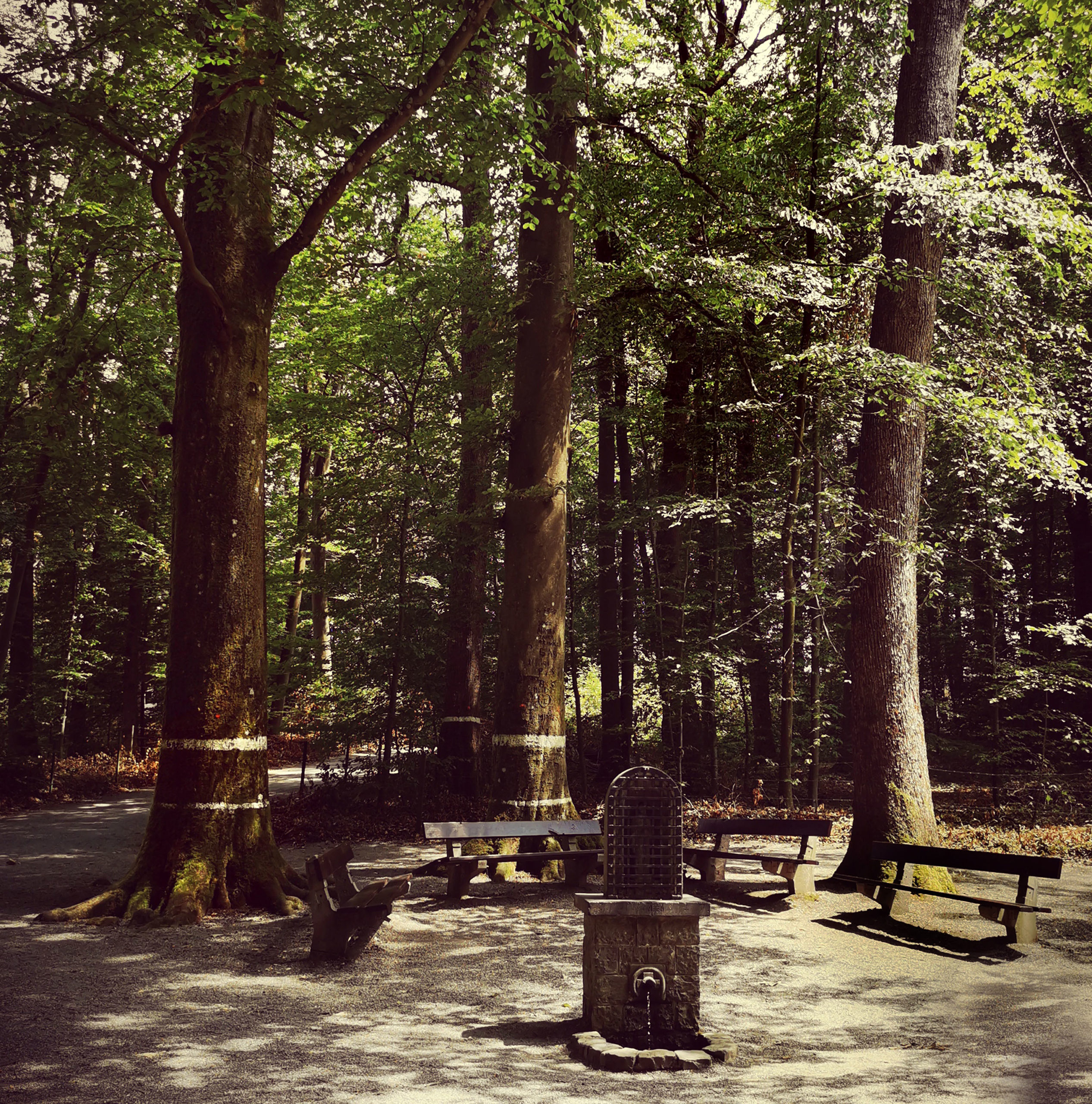 Brûly-de-Pesche - Fontaine Saint-Méen - Le musée de l'eau et de la fontaine